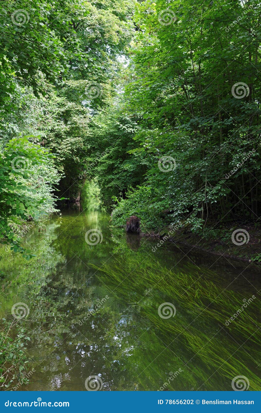 River in Picardy stock photo. Image of tourism, nature - 78656202