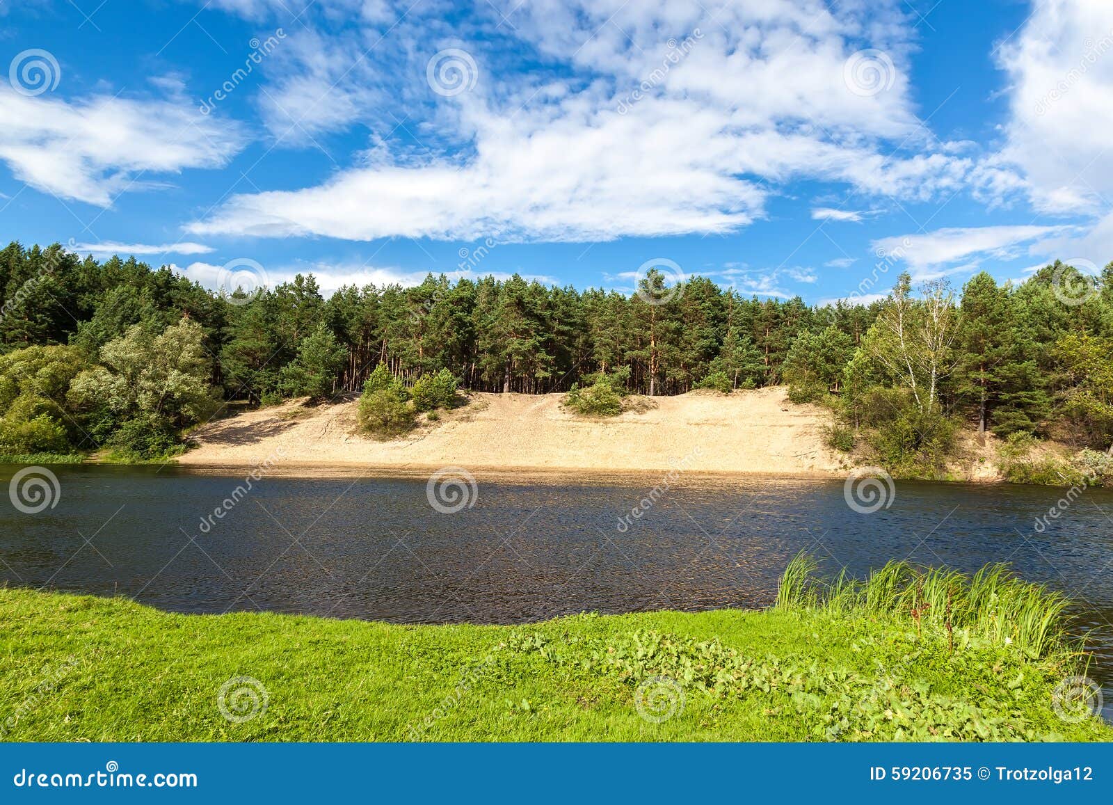 River in a Pine Forest with a Sandy Beach. Stock Image - Image of green ...