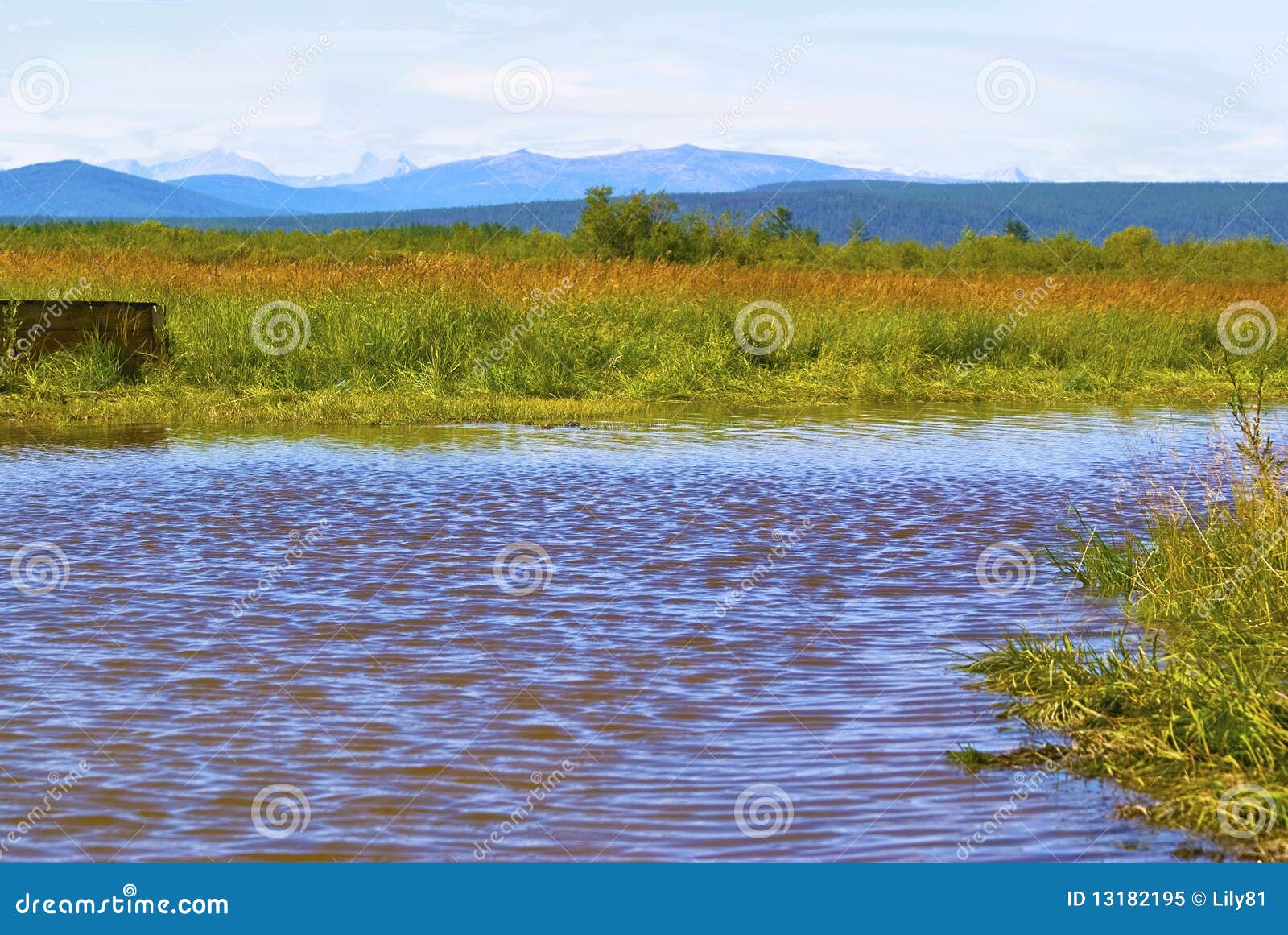 River on the plain stock image. Image of stream, mountains - 13182195