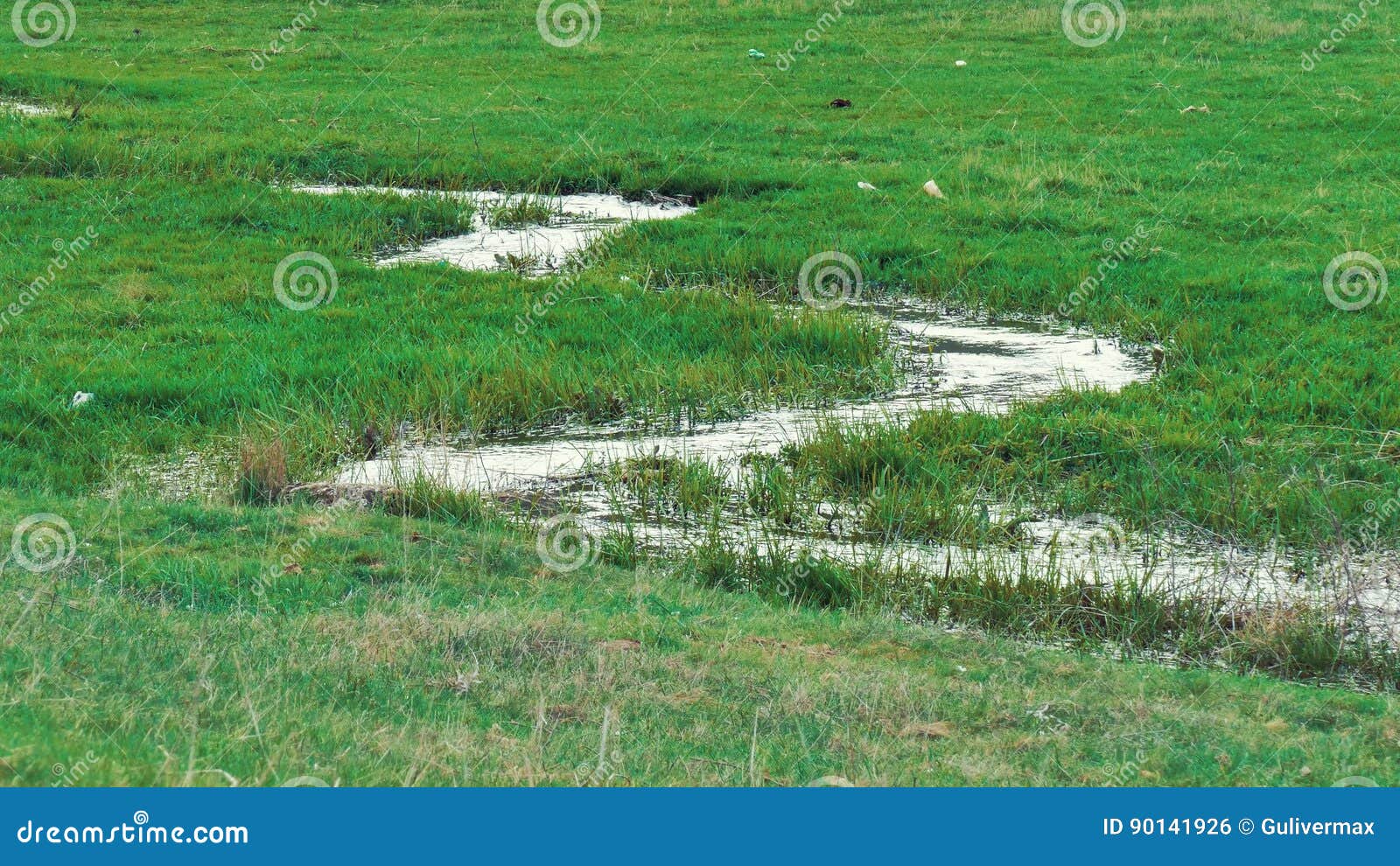 River on Plain with Green Grass Stock Footage - Video of rural, reed ...