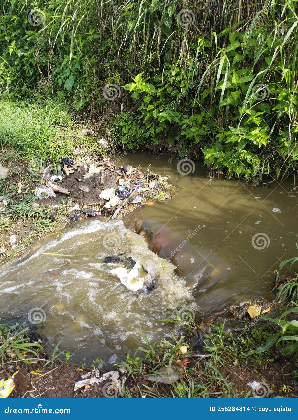 The River is Planted with a Lot of Garbage Stock Photo - Image of ...