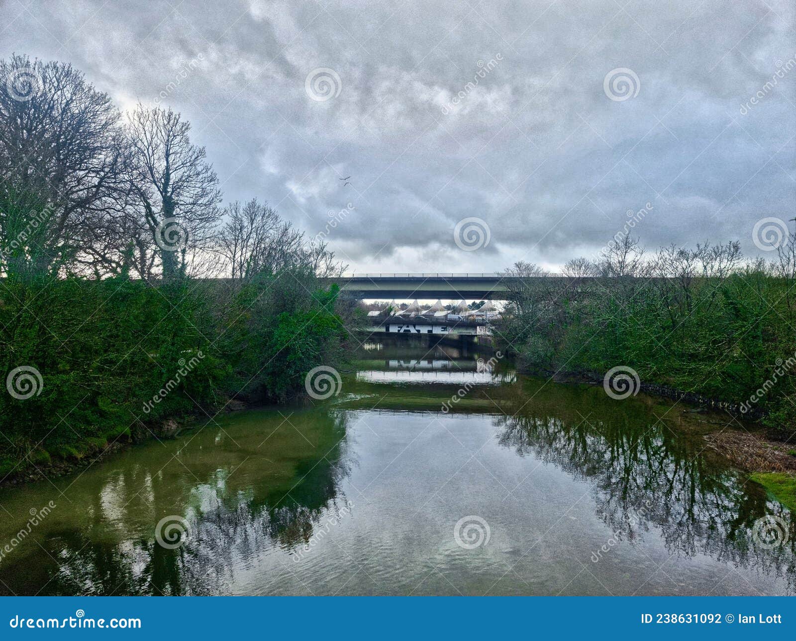 River Plym , Plymouth Devon UK Stock Photo - Image of plym, wildlife ...
