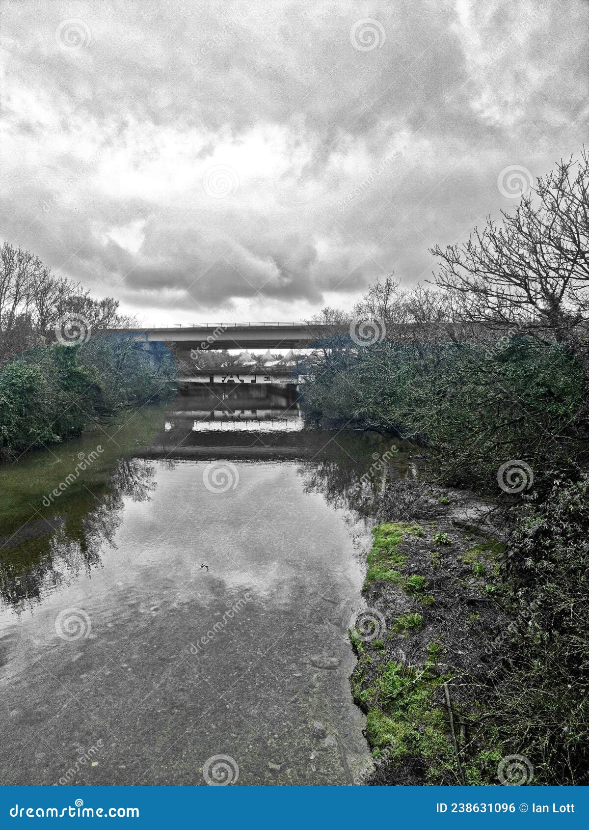 River Plym , Plymouth Devon UK Stock Photo - Image of flower, river ...