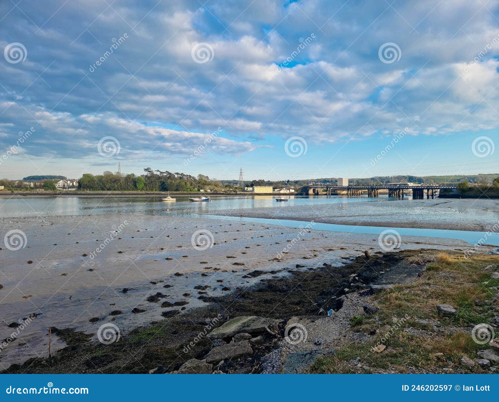 River Plym , Plymouth Devon Uk Stock Image - Image of plymouth ...