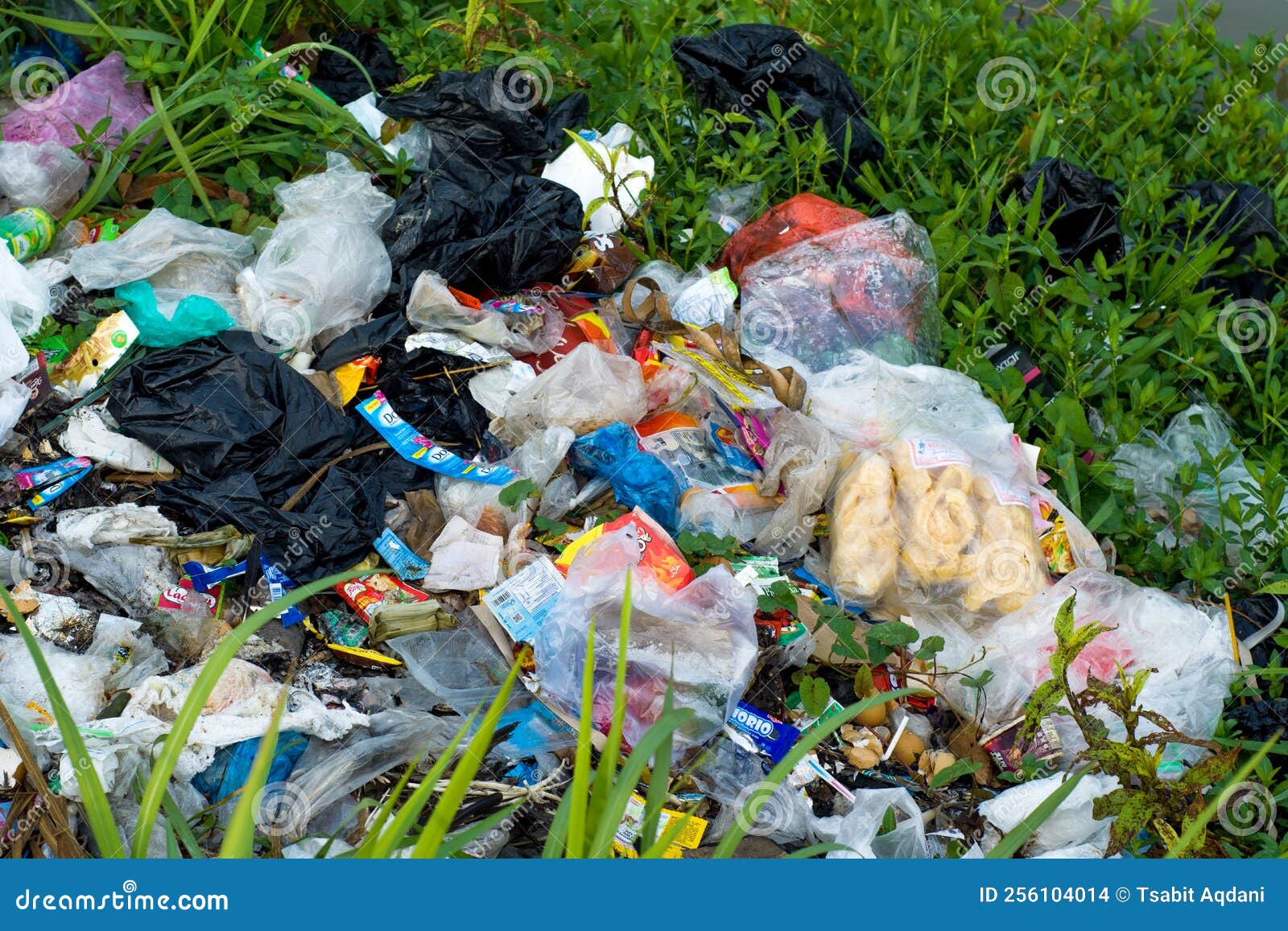 The River is Polluted with Various Garbage and Trash, Polluted Rivers ...