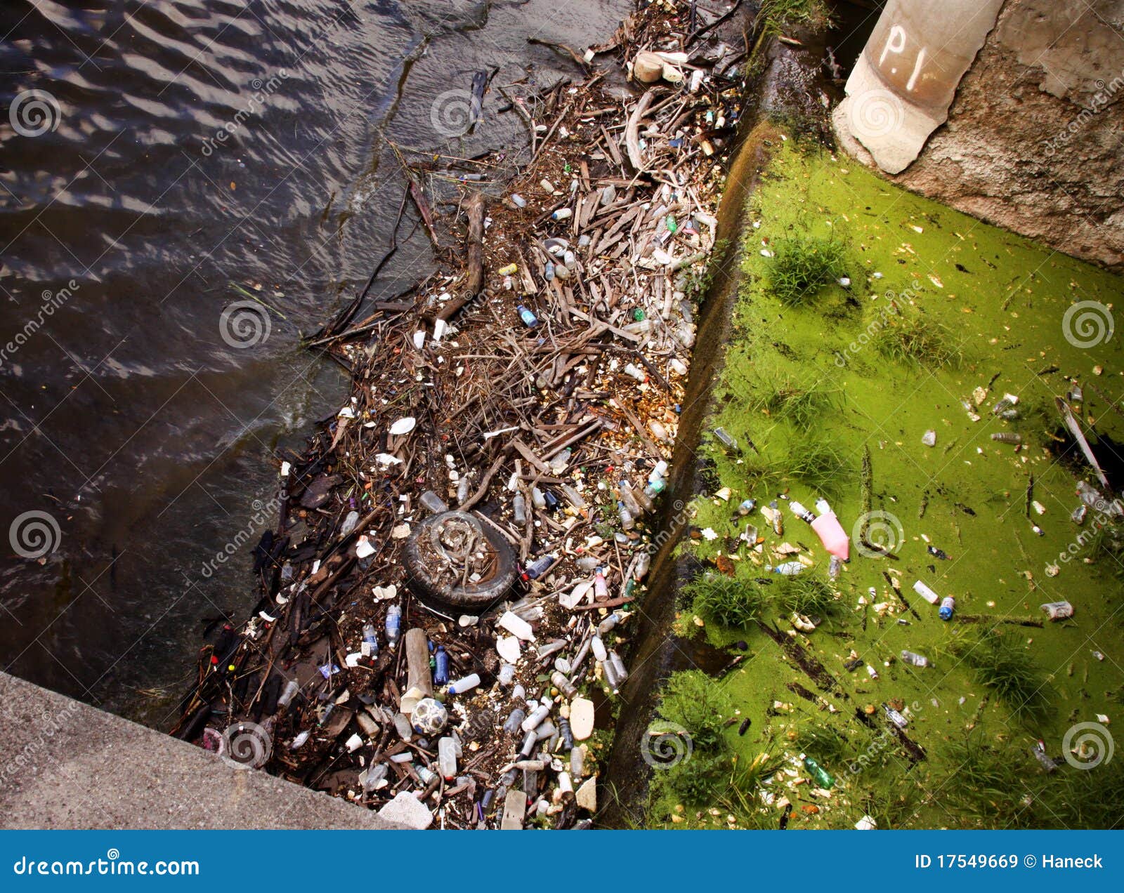 River Pollution Royalty-Free Stock Photography | CartoonDealer.com ...