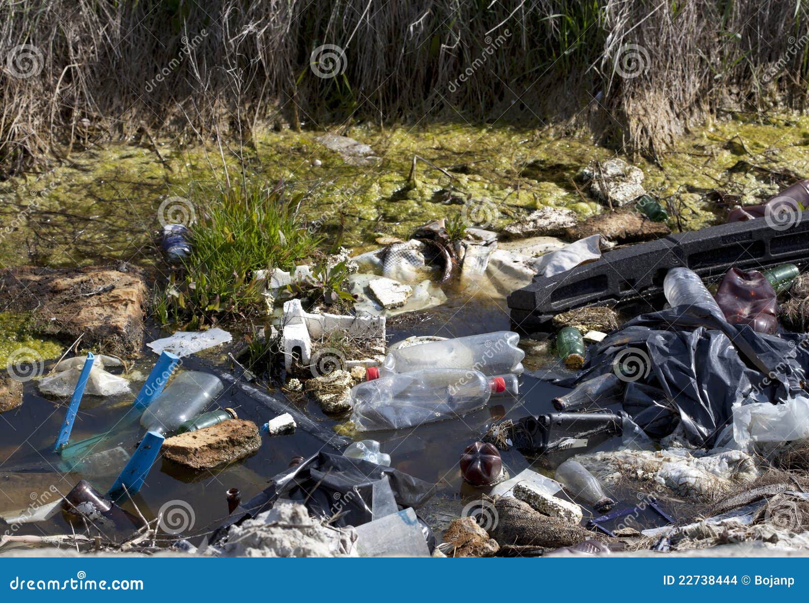 River Pollution stock photo. Image of chemical, water - 22738444