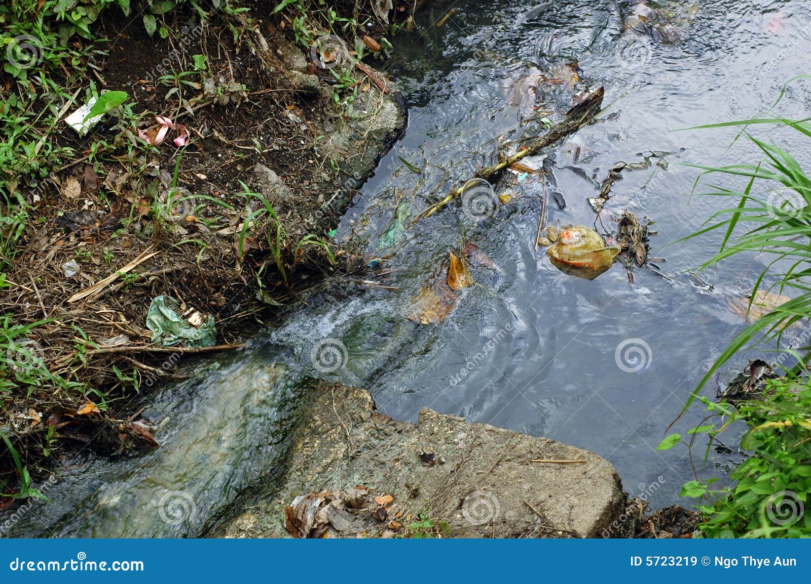 River pollution stock image. Image of nature, pollution - 5723219