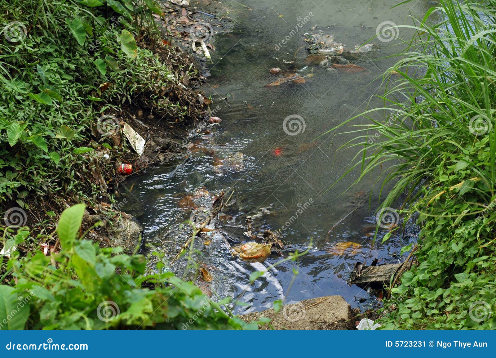 River pollution stock image. Image of pollution, plastic - 5723231