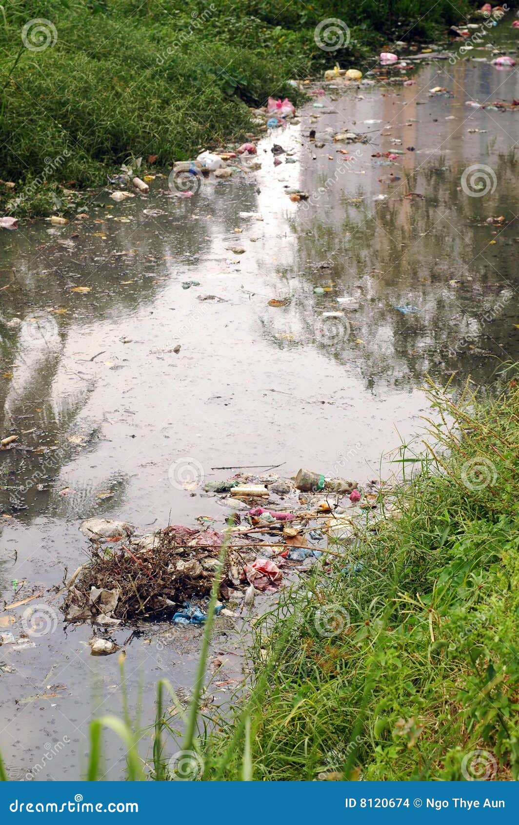 River pollution stock photo. Image of bushes, dirty, rubbish - 8120674