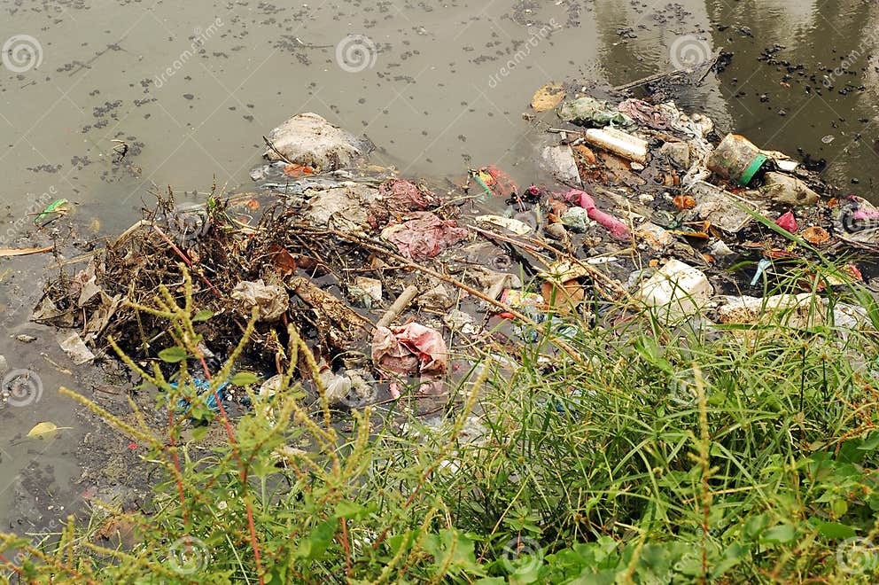 River pollution stock image. Image of water, bank, contamination - 8120807