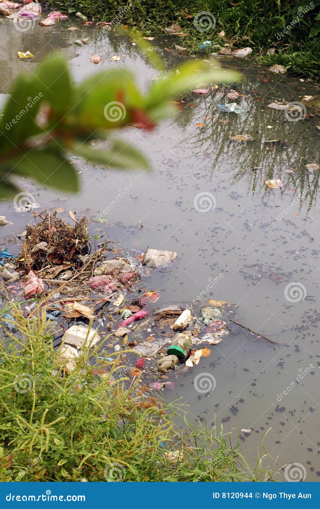 1,238 Wetland Pollution Stock Photos - Free & Royalty-Free Stock Photos ...