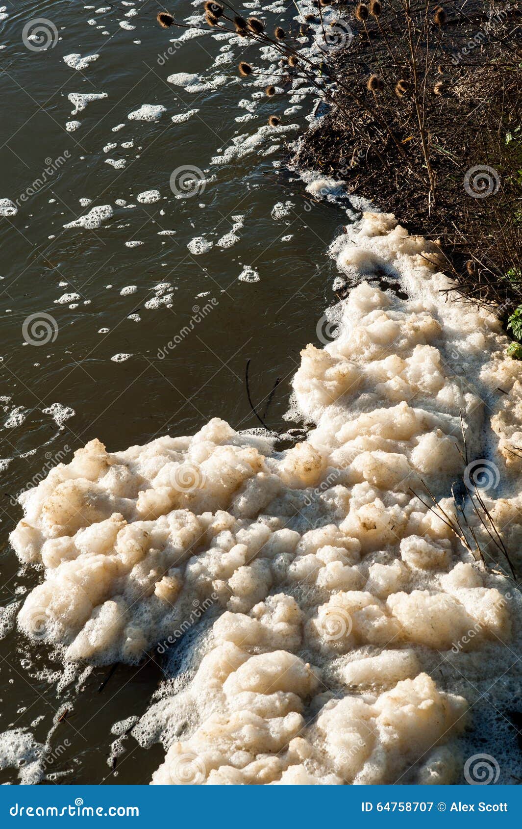 River pollution foam stock image. Image of surface, carried - 64758707