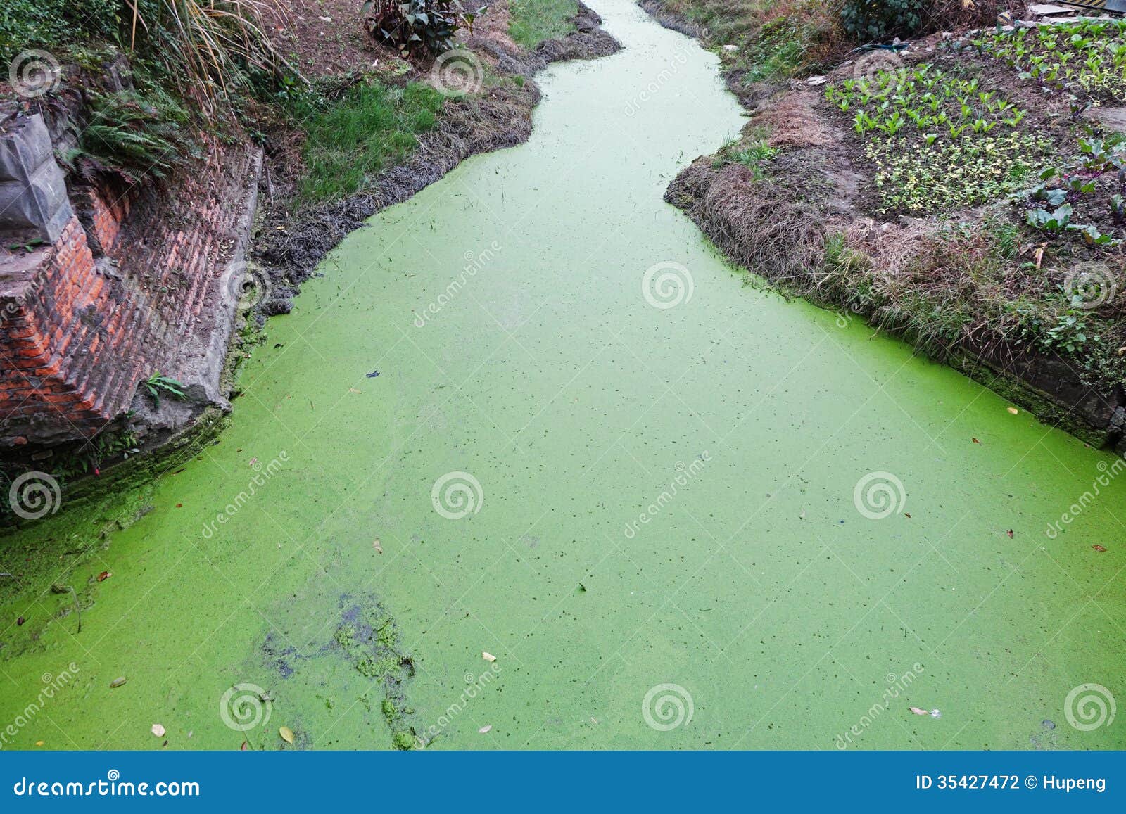 River pollution stock photo. Image of ecology, decay - 35427472