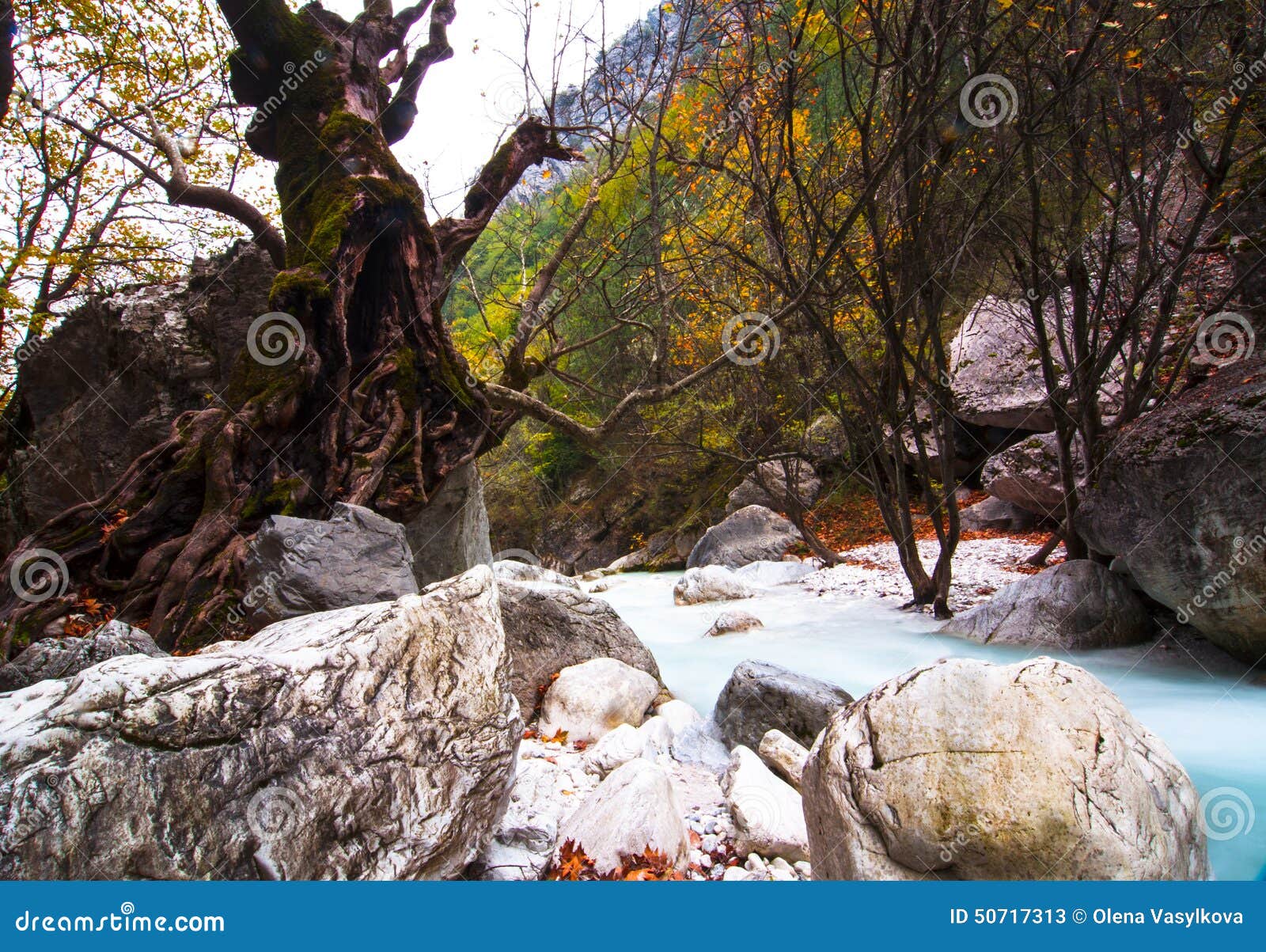 River of Pozar at Aridaia stock image. Image of loytraki - 50717313