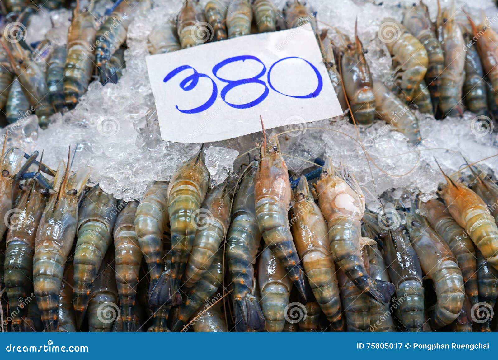 River prawn in the market stock image. Image of prepare - 75805017