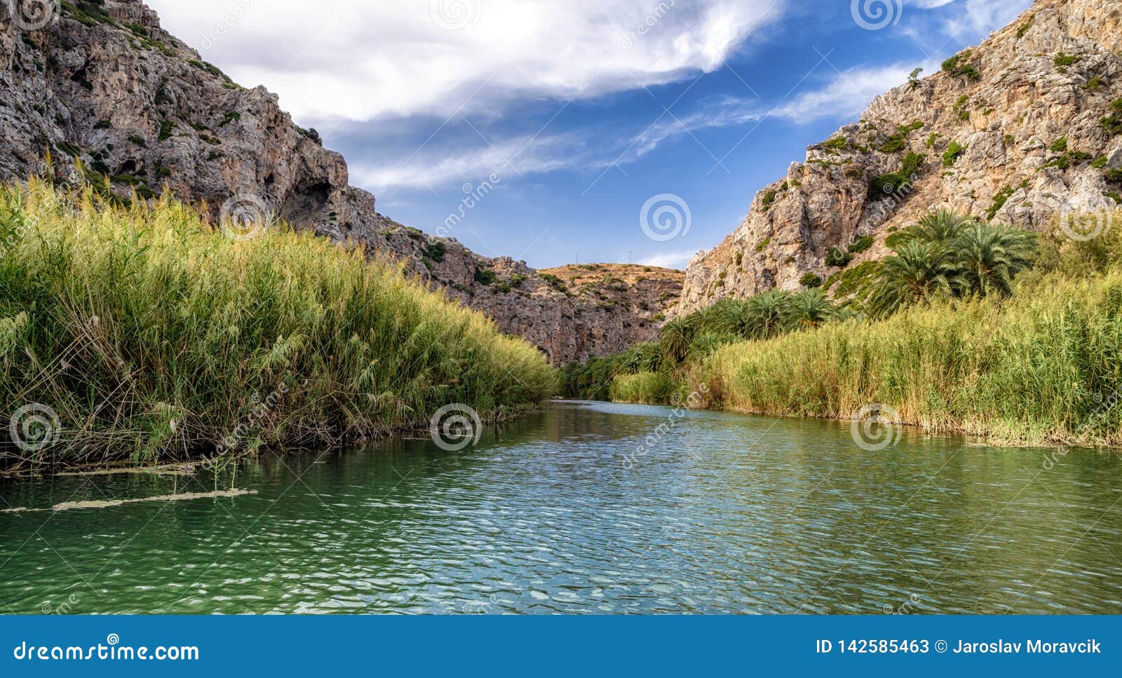 River in Preveli Palm Forest, Crete Editorial Stock Photo - Image of ...