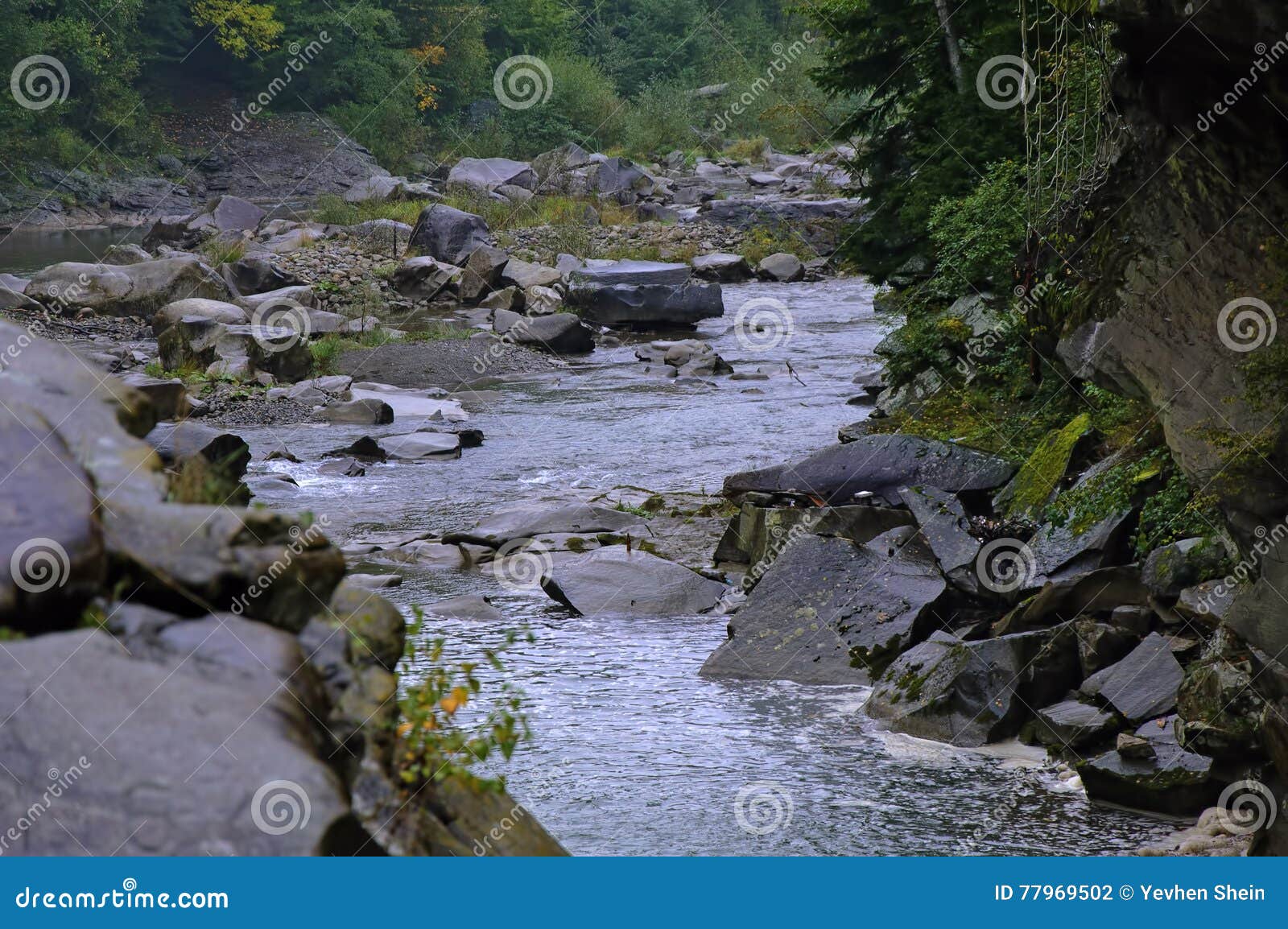 River Prut stock photo. Image of autumn, prut, flush - 77969502