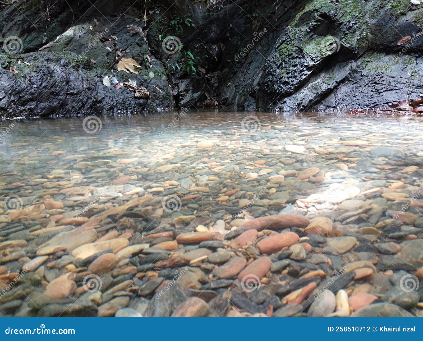 Clear Puddles, Stagnation of All Kinds of Aceh East Stock Photo - Image ...
