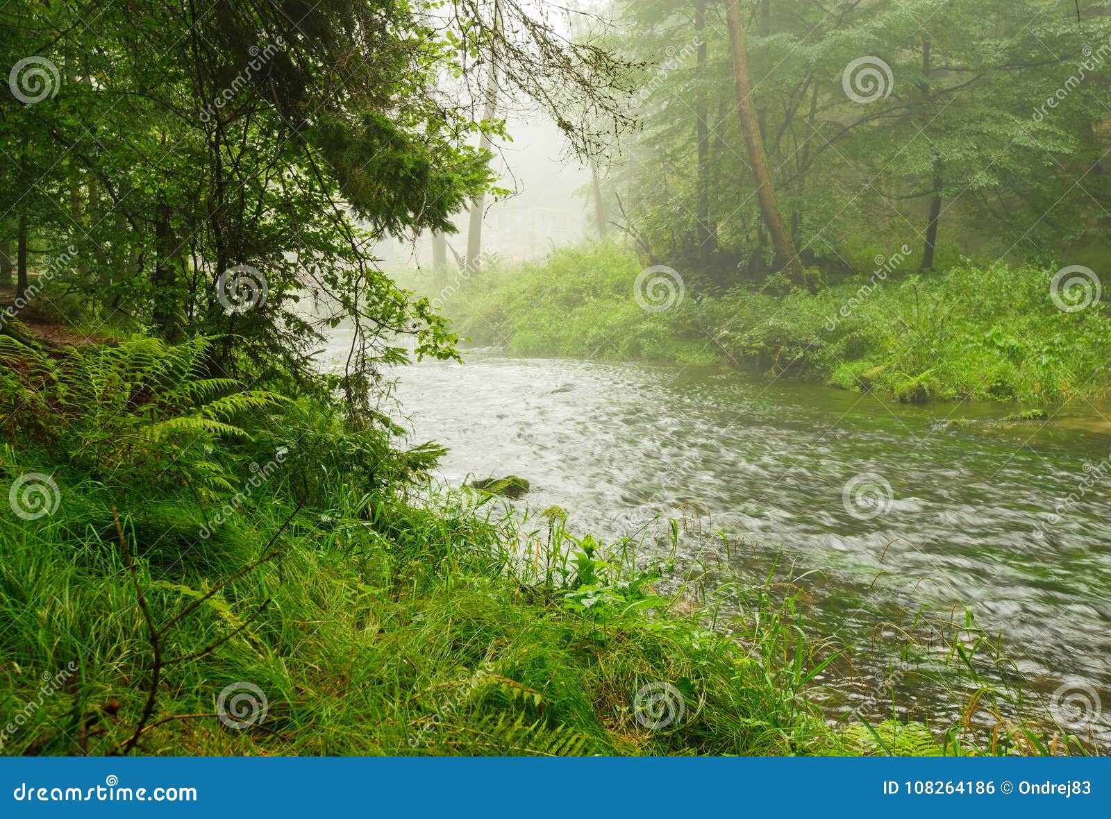 River in rain and fog stock photo. Image of forest, beautiful - 108264186