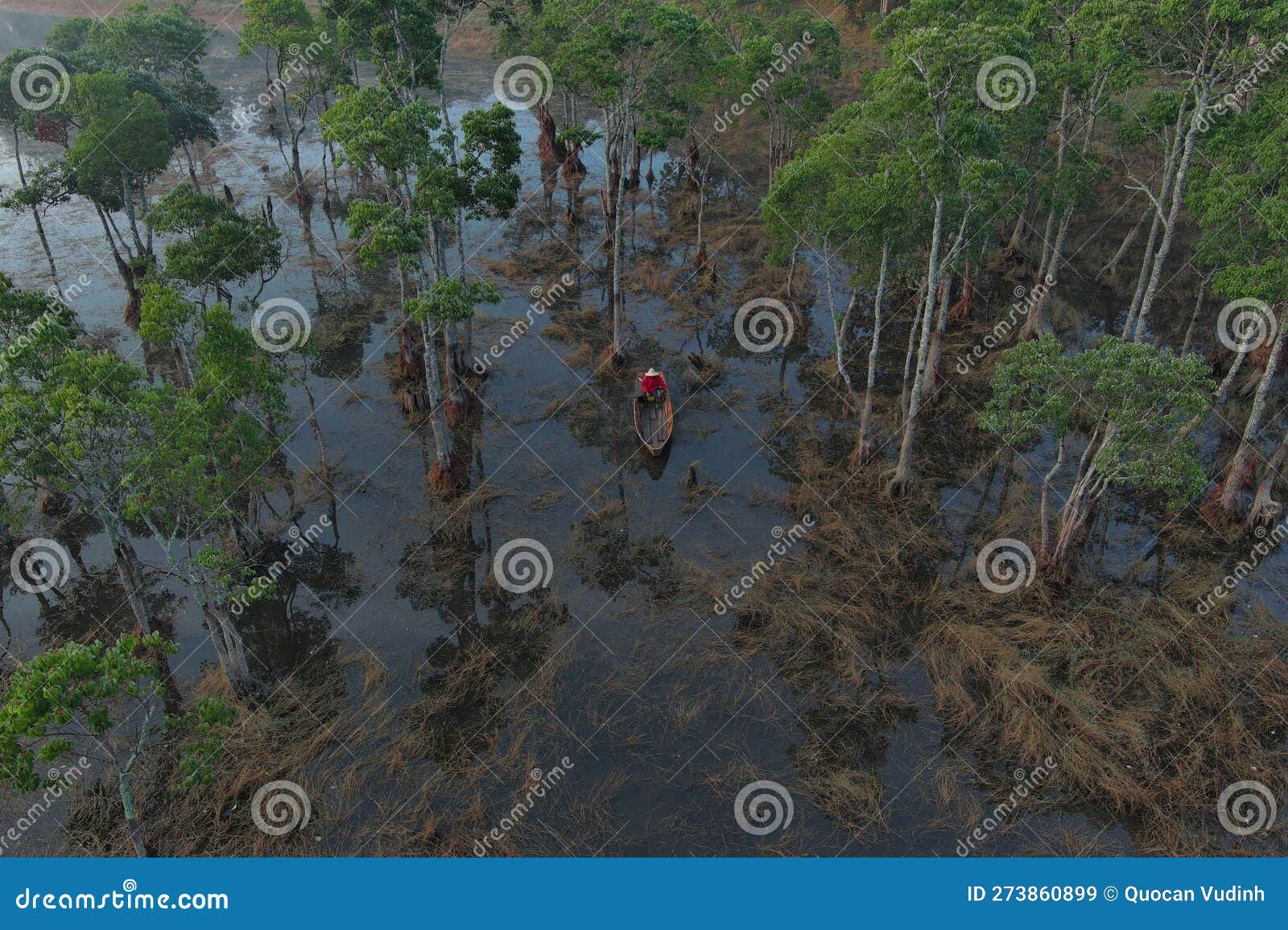 River and Rain Forest at Amazonas, Brazil Stock Image - Image of ...