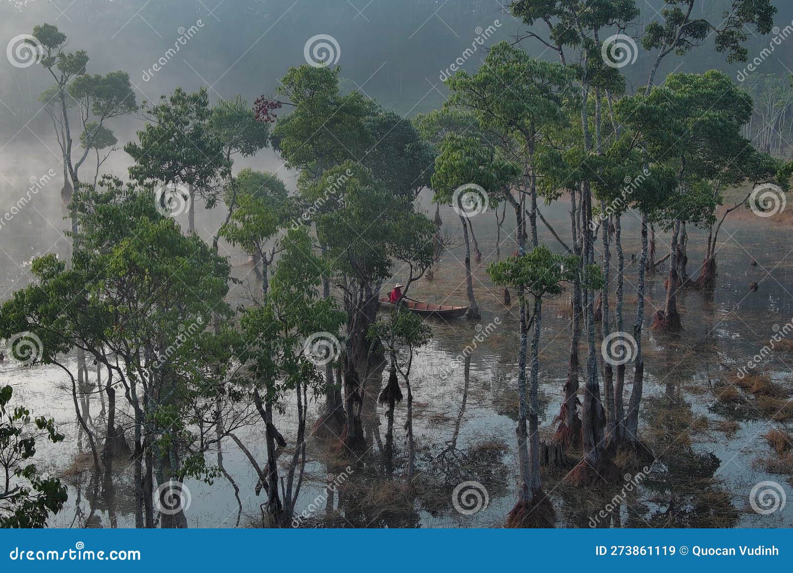 River and Rain Forest at Amazonas, Brazil Stock Image - Image of ...