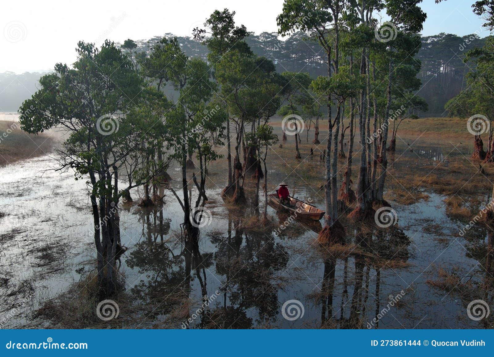 River and Rain Forest at Amazonas, Brazil Stock Photo - Image of ...