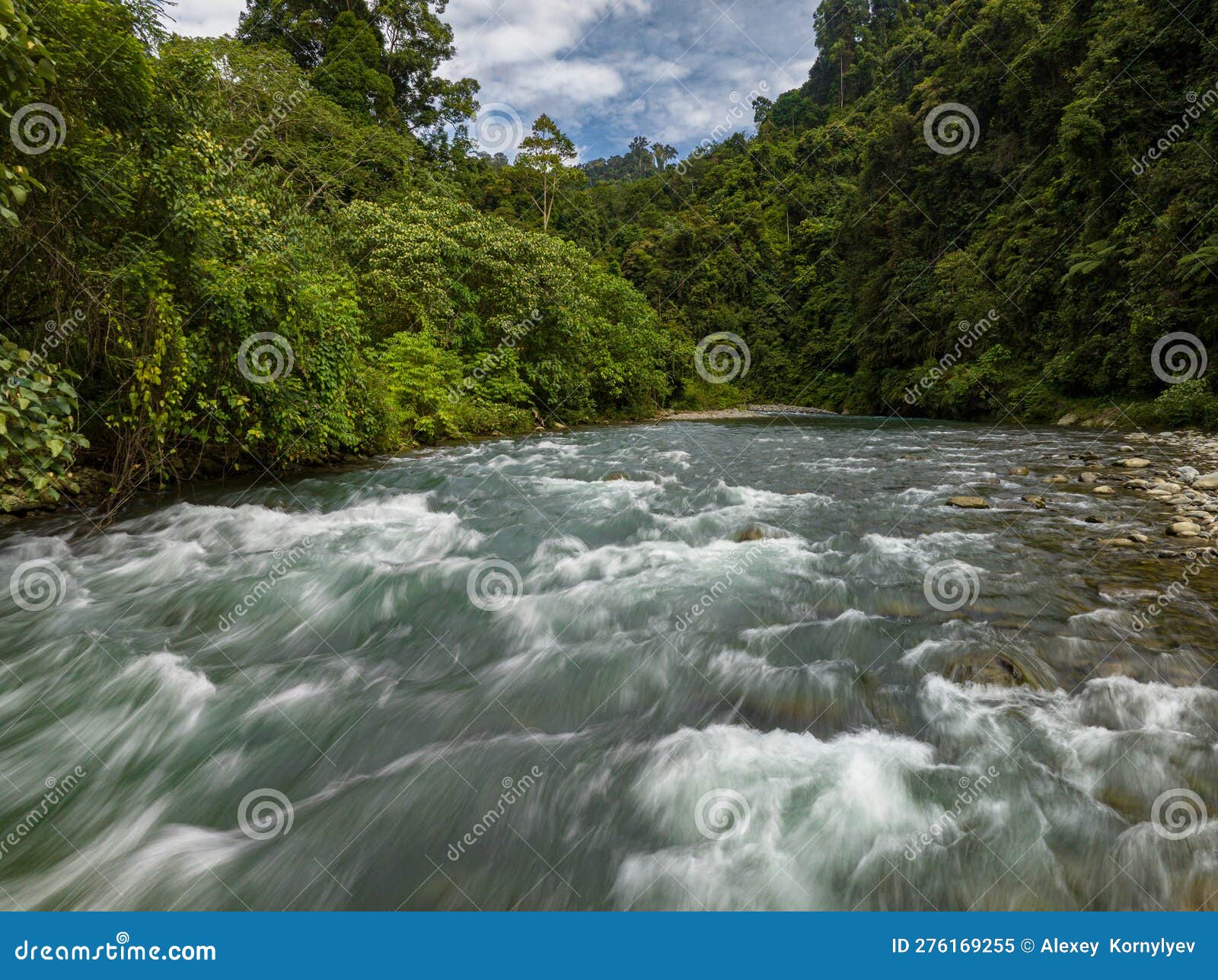 River in the Jungle. Sumatra, Indonesia. Stock Image - Image of aerial ...