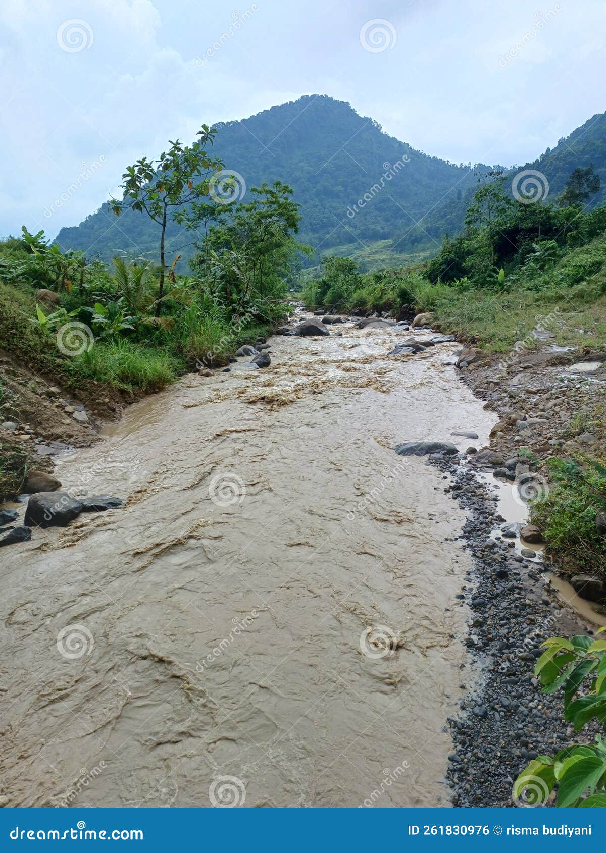 River in Rainy Days in the Hills Stock Photo - Image of bogor, rainy ...