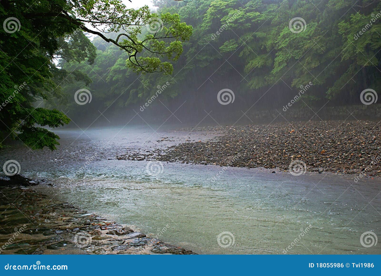 River in rainy jungle stock photo. Image of greenery - 18055986