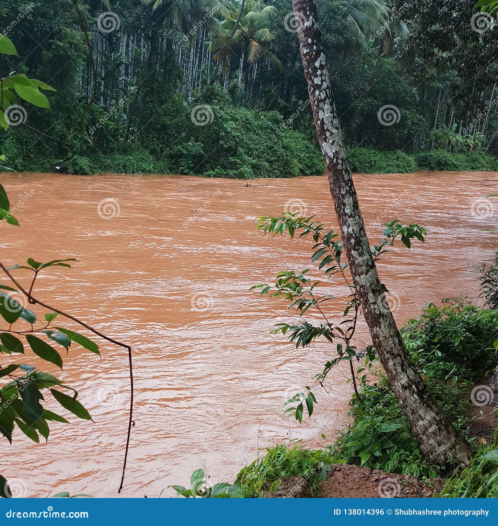 River stock photo. Image of colour, river, rainy, season - 138014396