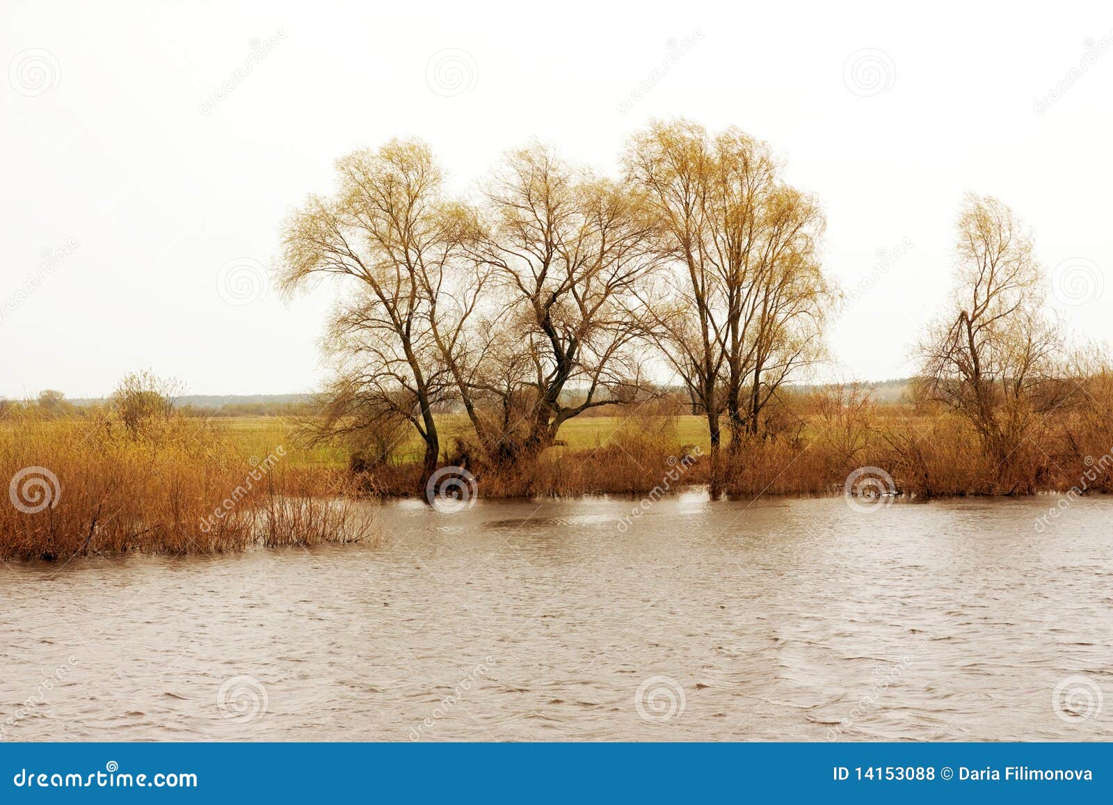 River during rainy weather stock photo. Image of autumn - 14153088