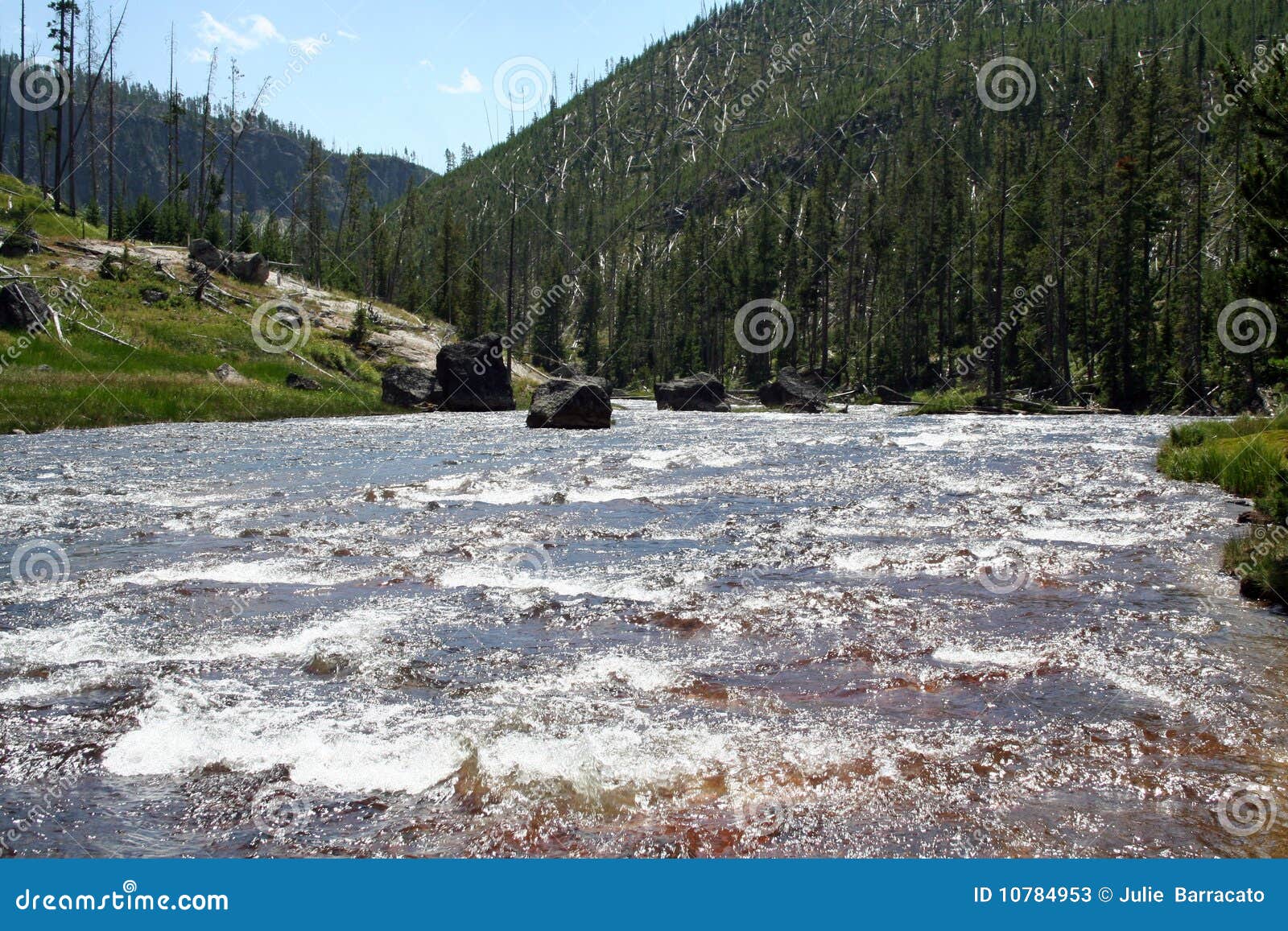 River rapids stock image. Image of yellowstone, beauty - 10784953