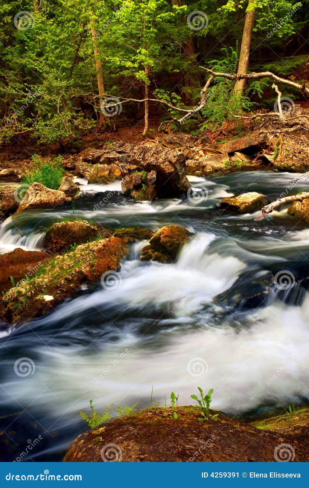 River rapids stock image. Image of brook, clean, outdoors - 4259391