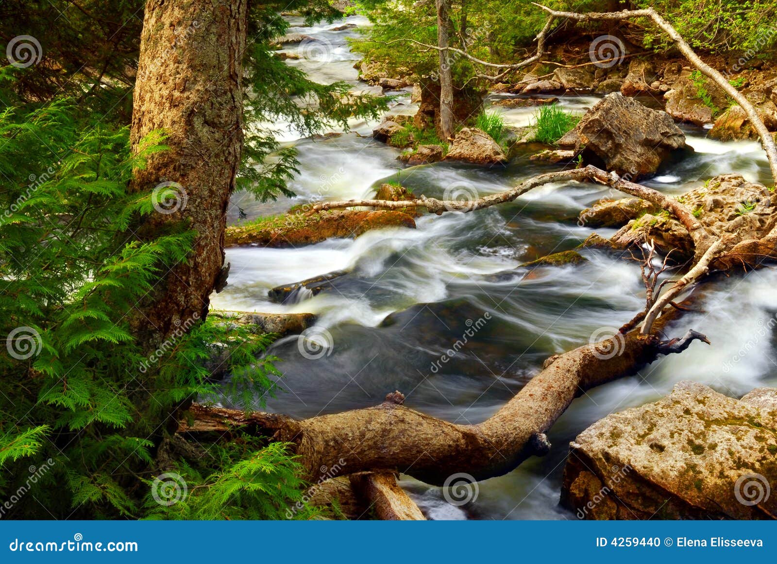 River rapids stock photo. Image of rock, ecology, fast - 4259440