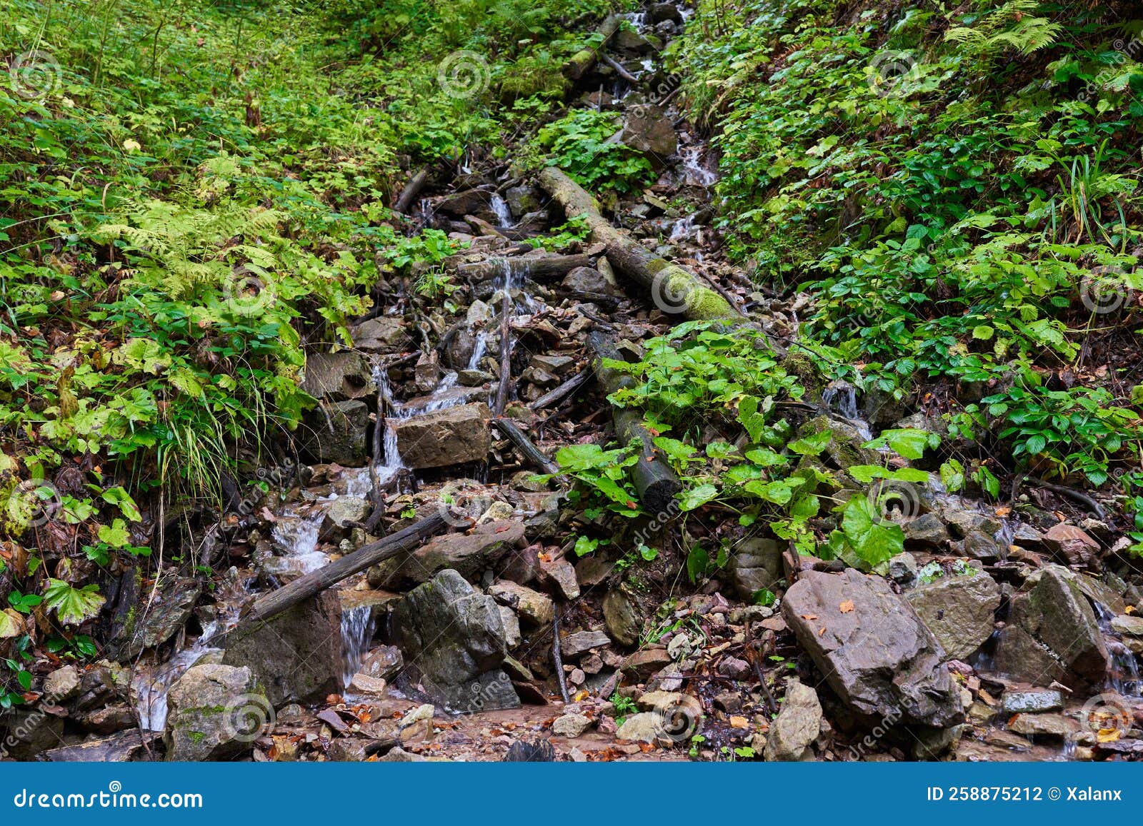 River Rapids in the Mountains Stock Photo - Image of reserve, boulders ...