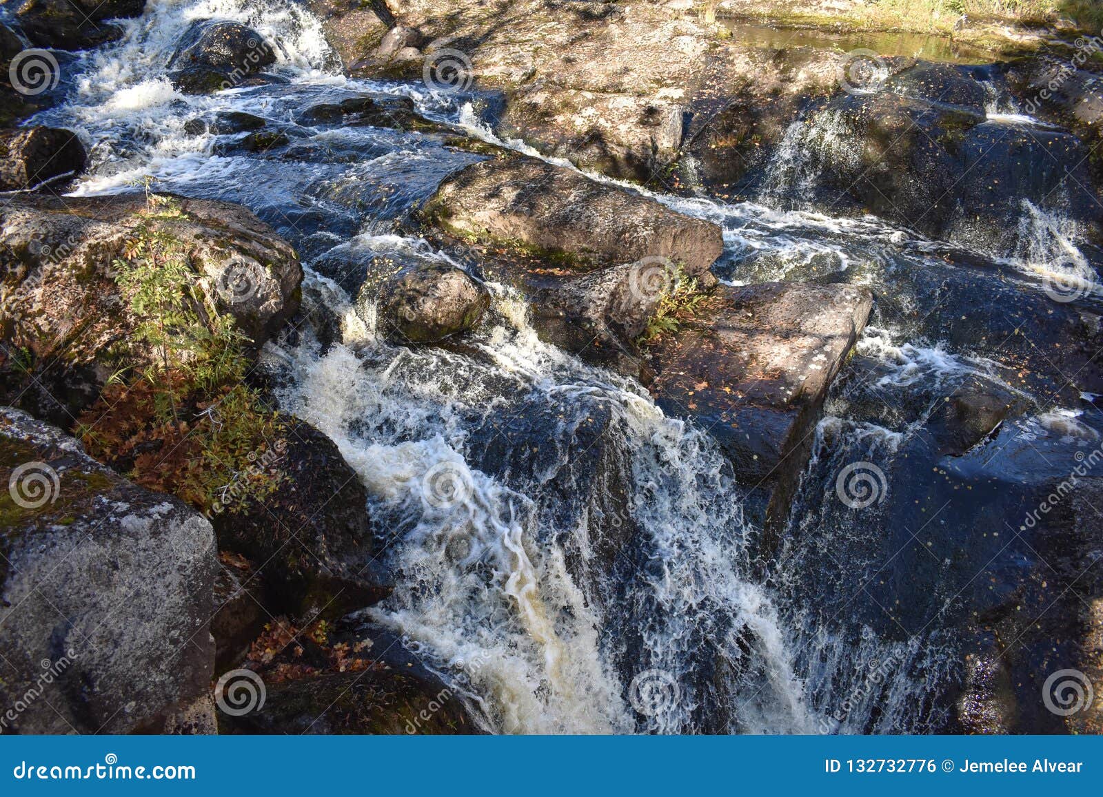 River rapids stock photo. Image of stream, small, creek - 132732776