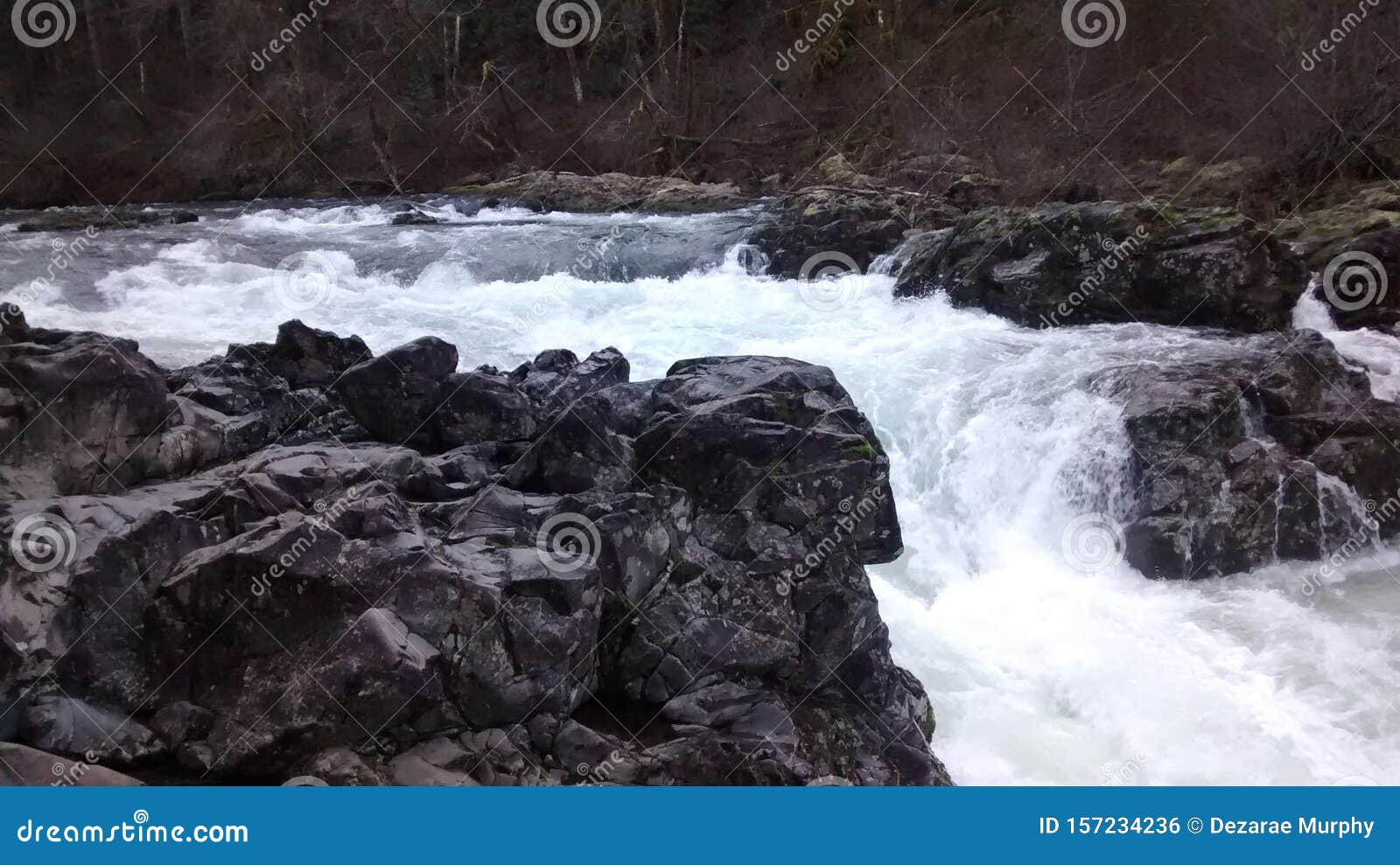 River rapids stock photo. Image of rocks, water, trees - 157234236
