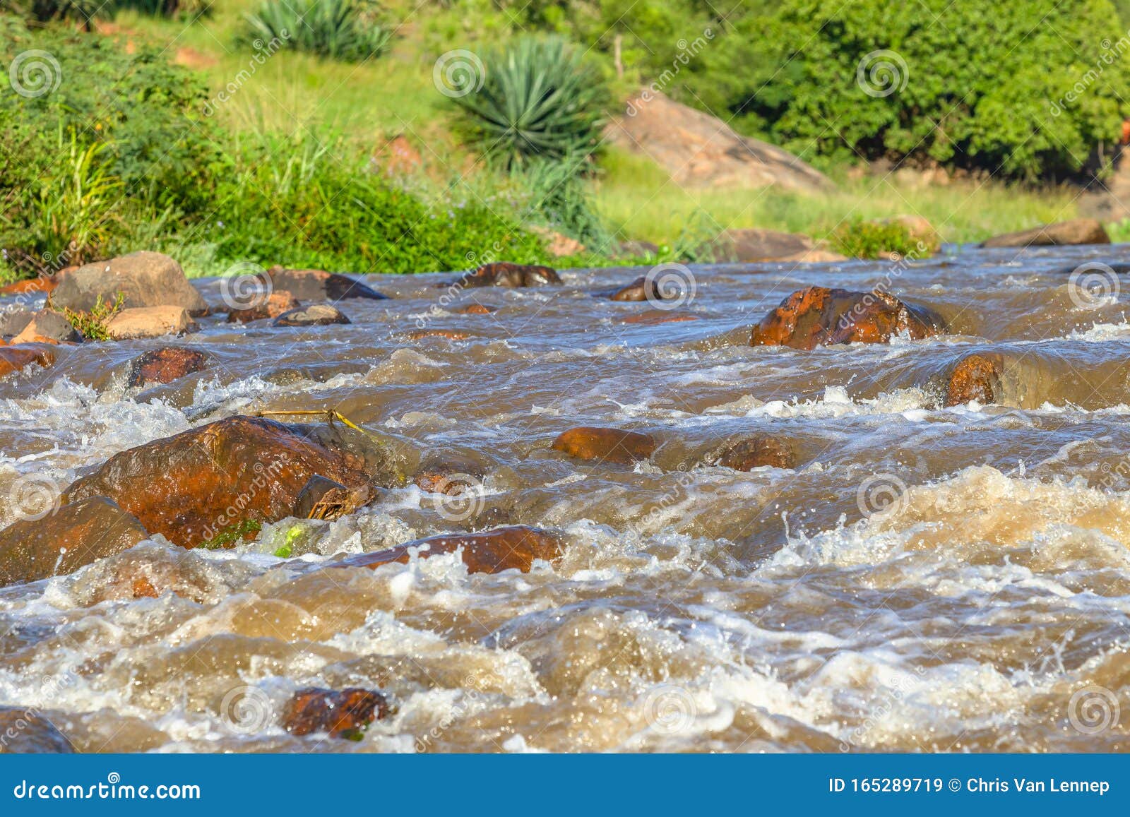 River Rapids Rocks Water stock image. Image of challenge - 165289719