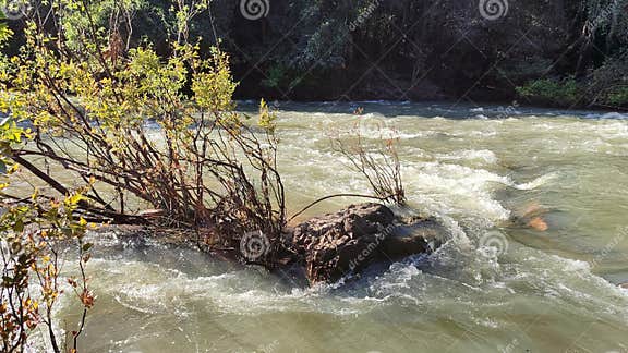 River with rapids stock photo. Image of waterway, pond - 328015806