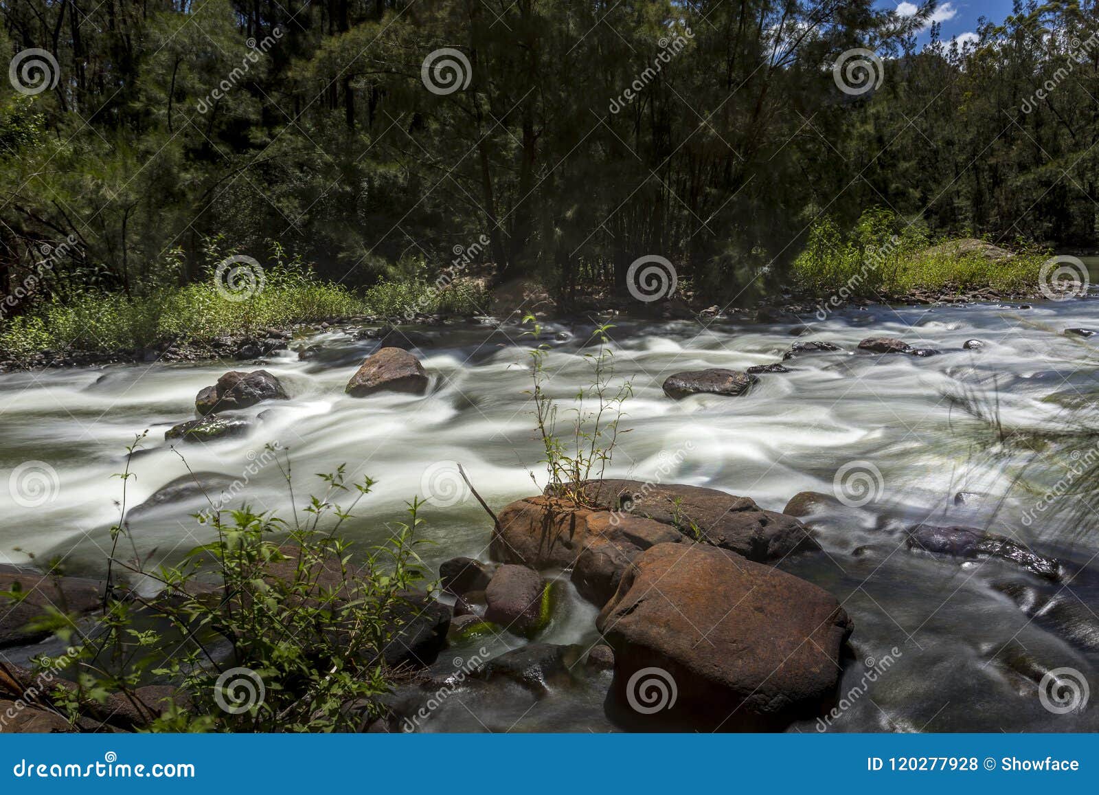 River Rapids in the Wilderness Stock Photo - Image of tourism ...