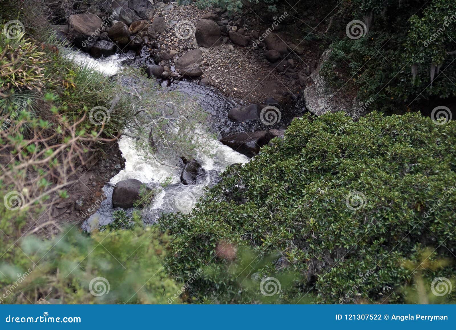 River in a ravine stock photo. Image of bolivar, america - 121307522