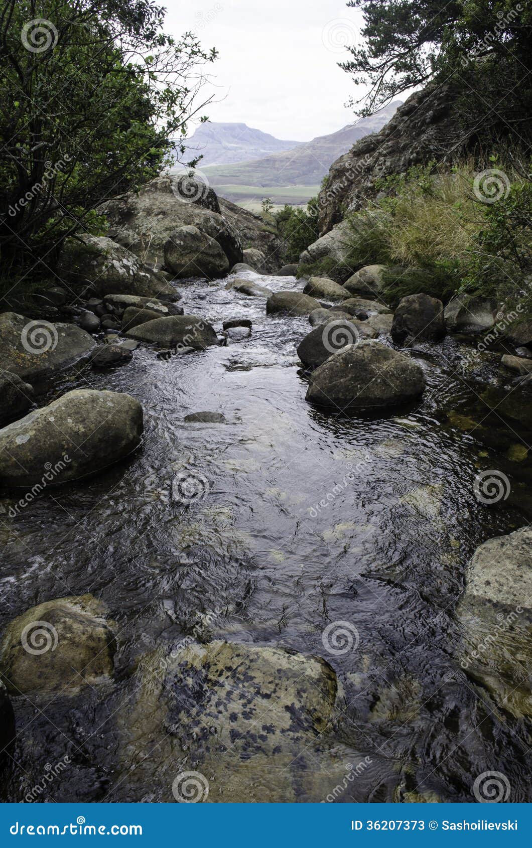 River Ravine stock image. Image of water, hike, river - 36207373