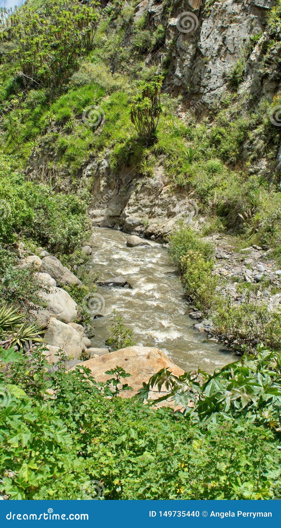 River in a ravine stock photo. Image of south, latin - 149735440