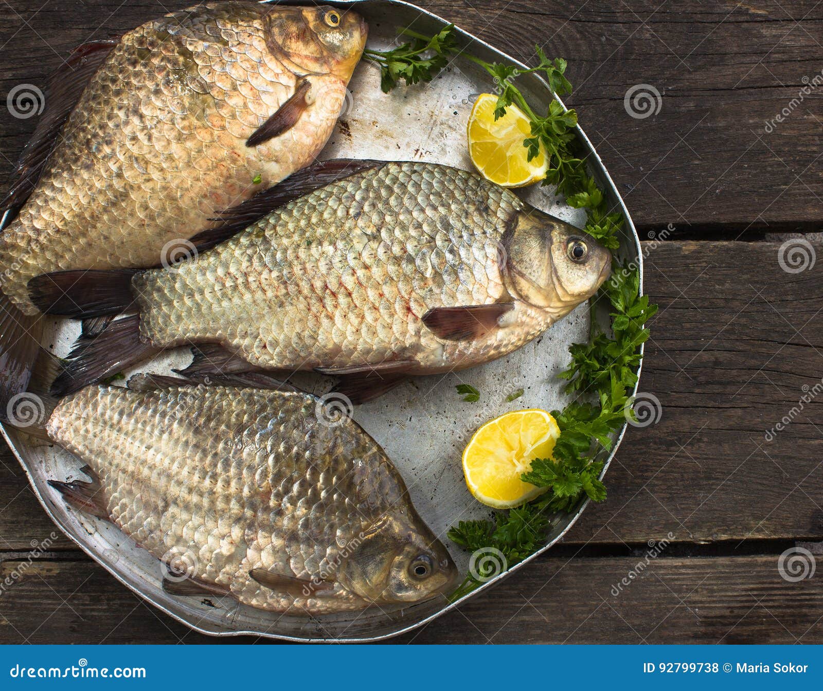 River Raw Fish - Carp, in a Round Plate Stock Photo - Image of barbed ...