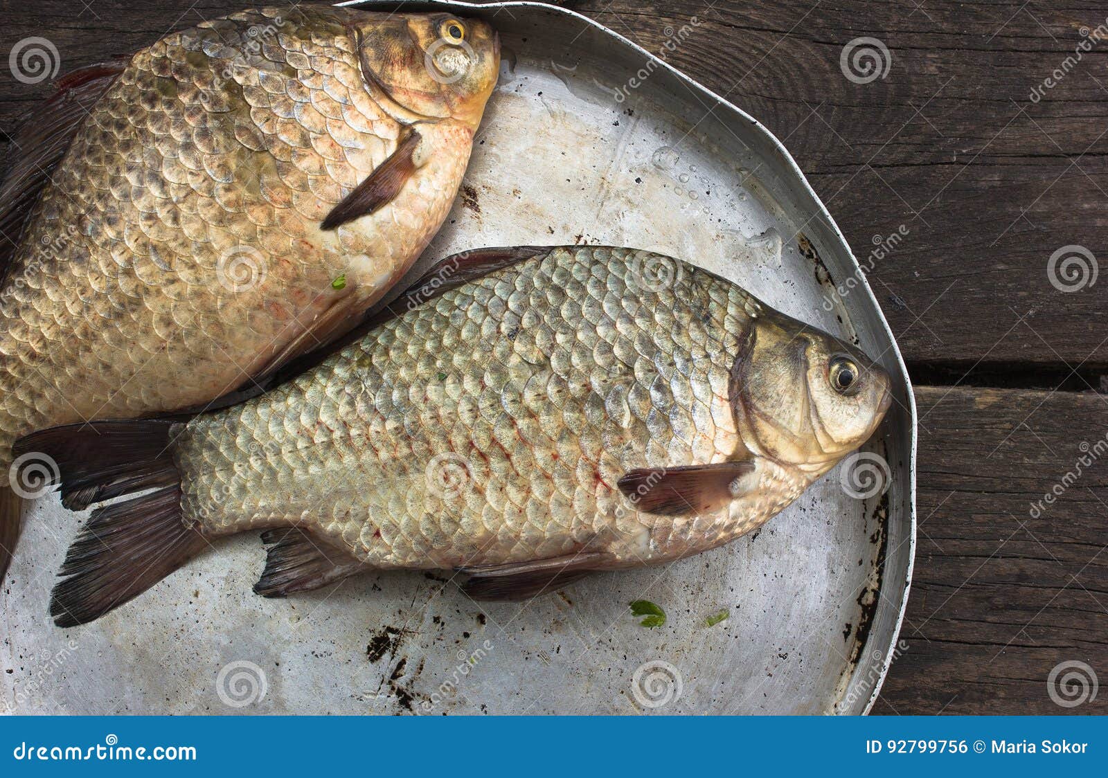 River Raw Fish - Carp, in a Round Plate Stock Photo - Image of natural ...