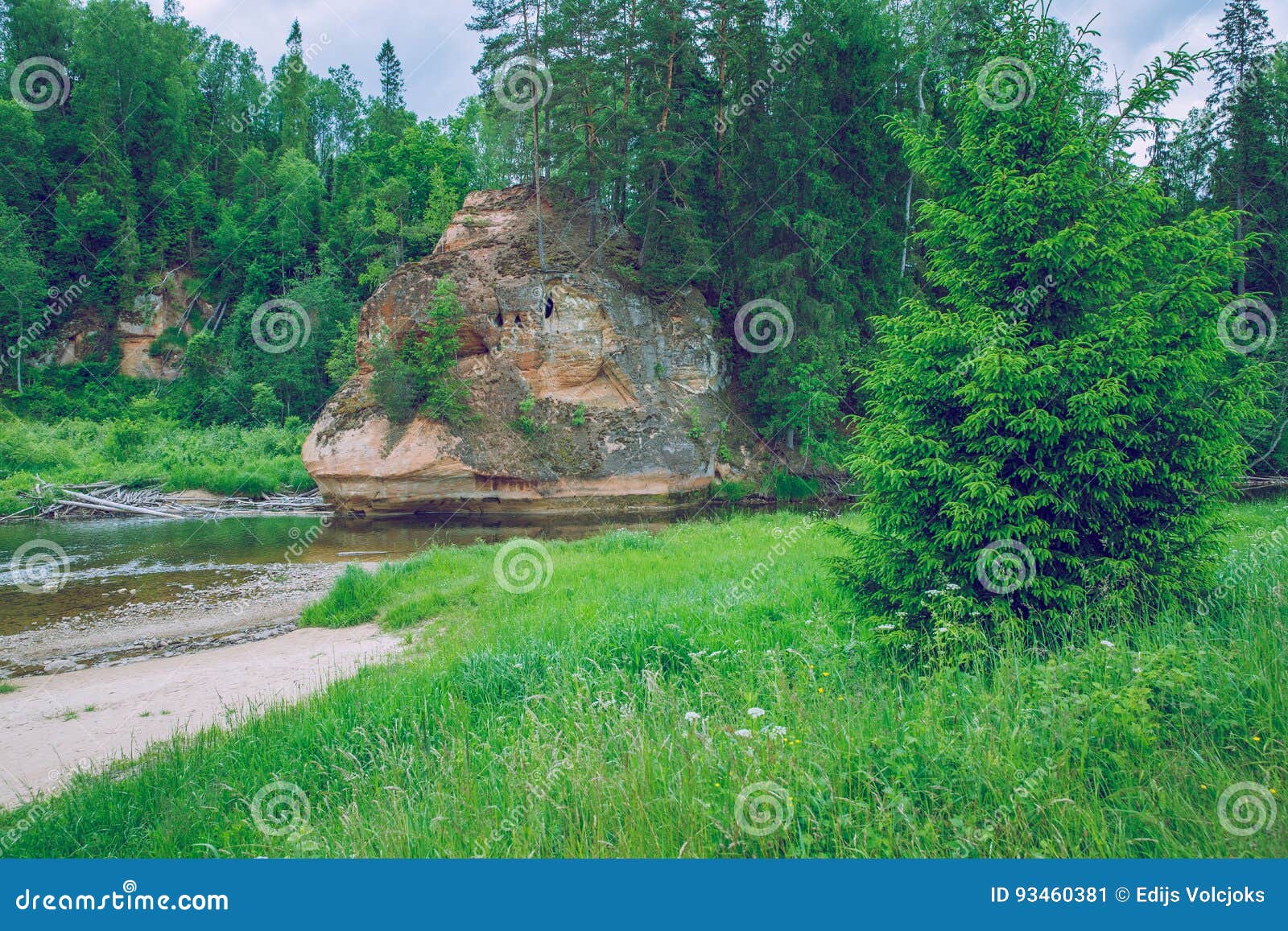 River with Red Cliffs in Latvia. Stock Image - Image of light, park ...