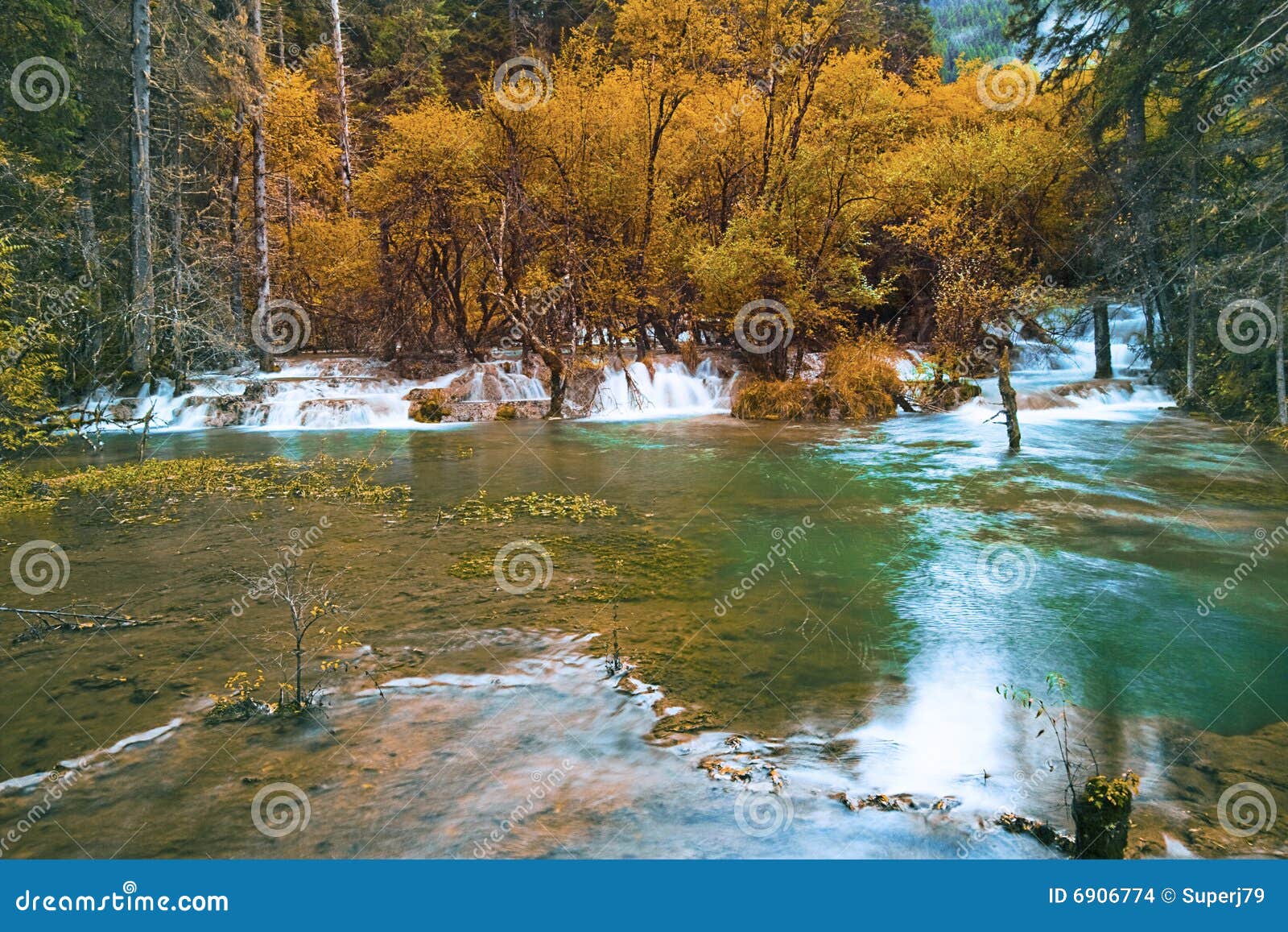 River and red forest stock photo. Image of transparent - 6906774