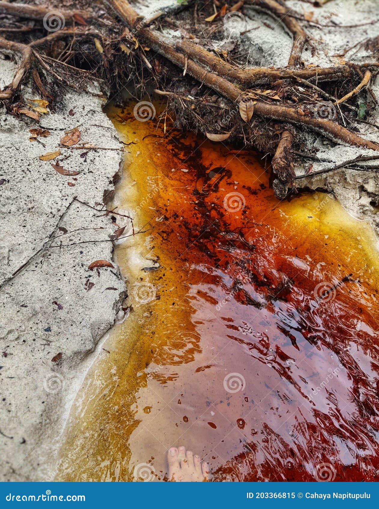 Kahui Stock Photos - Free & Royalty-Free Stock Photos from Dreamstime