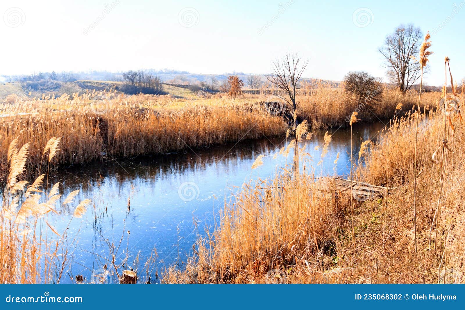 River with Reeds Along the Banks of the River Ukraine Stock Photo ...